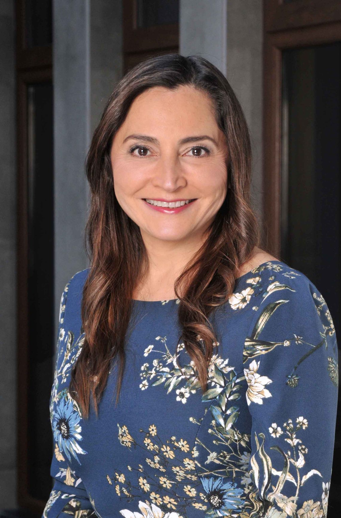 Senado ratificó nombramiento de Marcela Godoy como ministra titular del ...